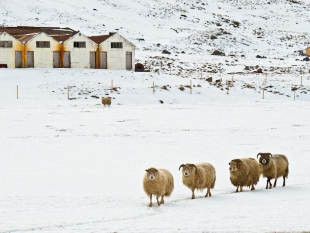 Kitty Calhoun Chases Ice Climbing First Ascents in Iceland - Patagonia ...