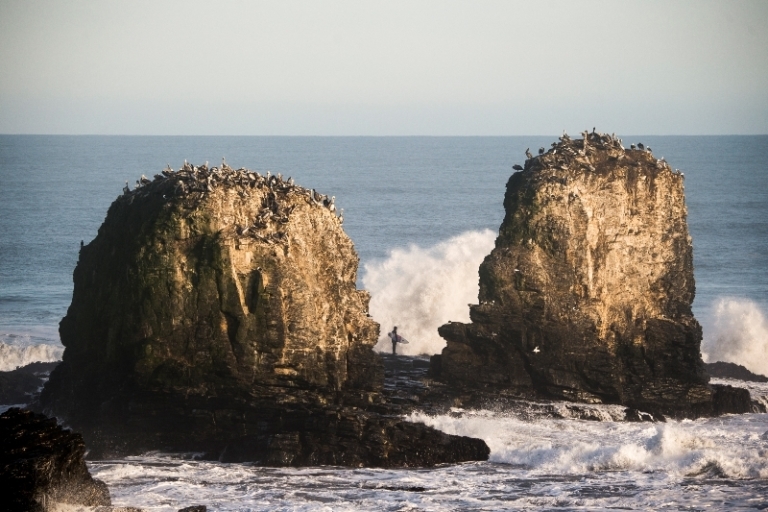 Simply Southern Chile: A Surf Trip - Patagonia Stories
