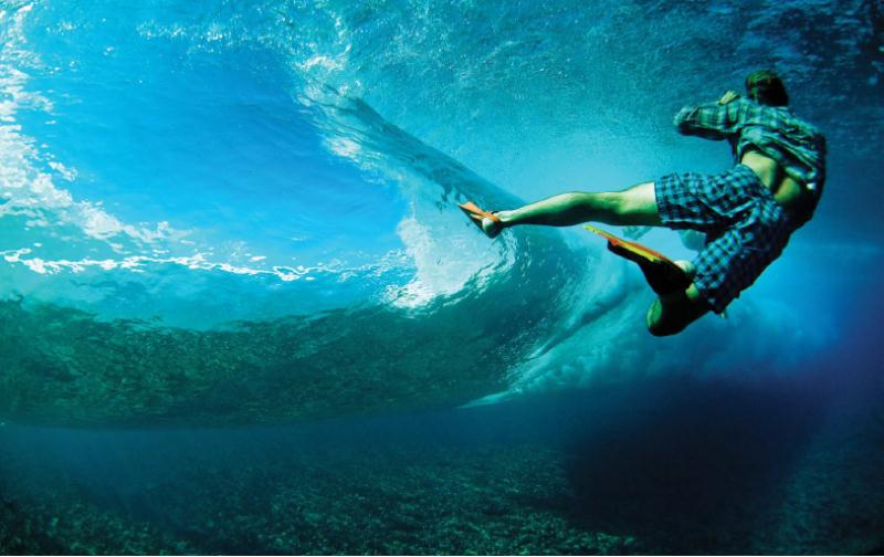 Excerpt from "The Plight of the Torpedo People" by Keith Malloy ...