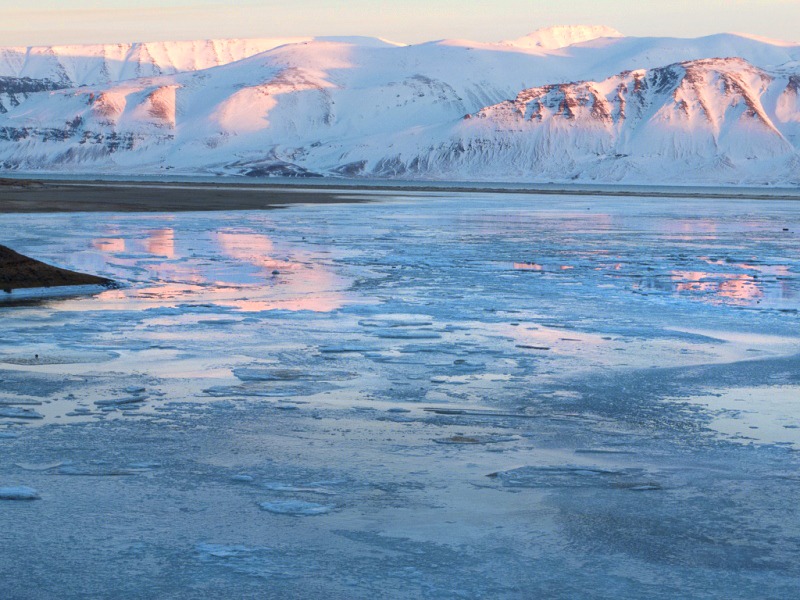 Kitty Calhoun: Climbing in Iceland with Loki the Deceiver - Patagonia