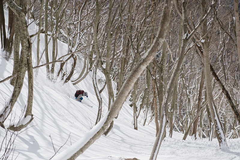 Here Today, Gone Tomorrow: A New Film - Patagonia Stories