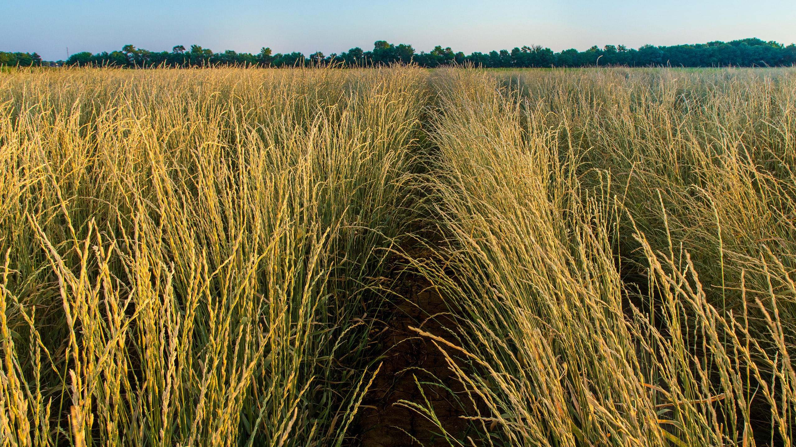 Unbroken Ground - Patagonia | Patagonia MX