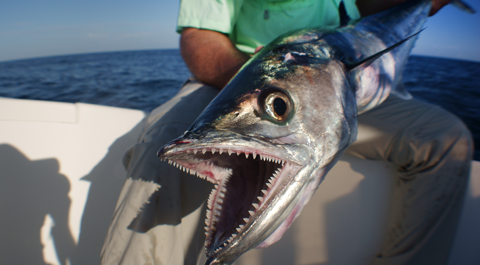 Boom & Bust: Healthy Fisheries Demand Strong Conservation - Patagonia ...