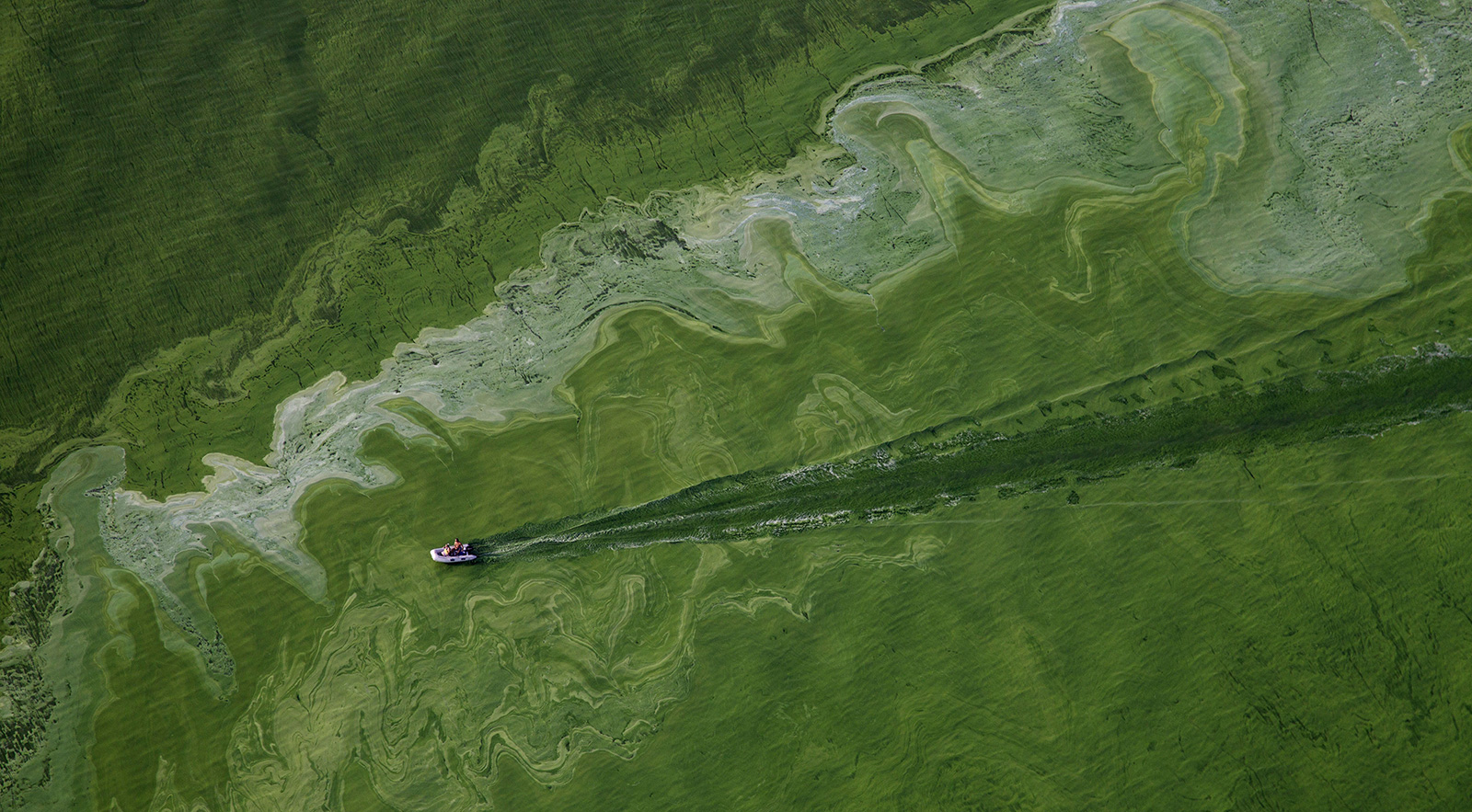 Why the Clean Water Act Means So Much - Patagonia Stories