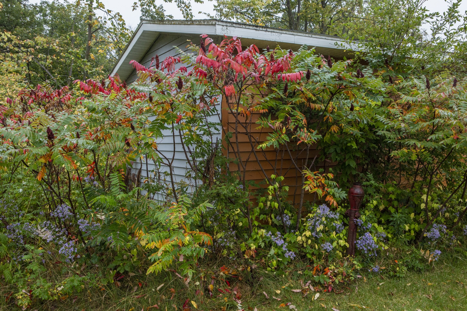 Red Lake, Green Future - Patagonia