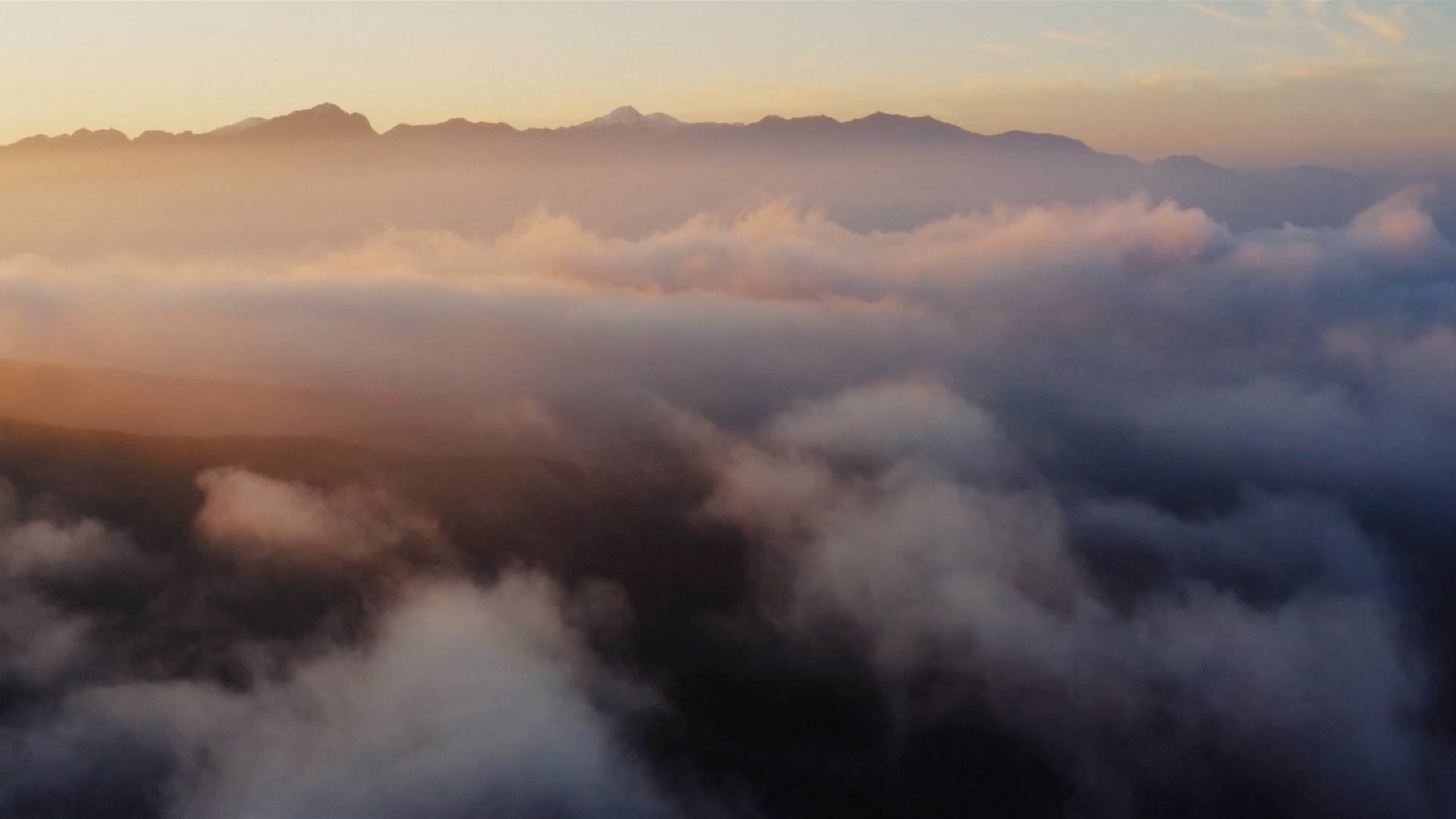 Stone Locals - Patagonia | Patagonia CH