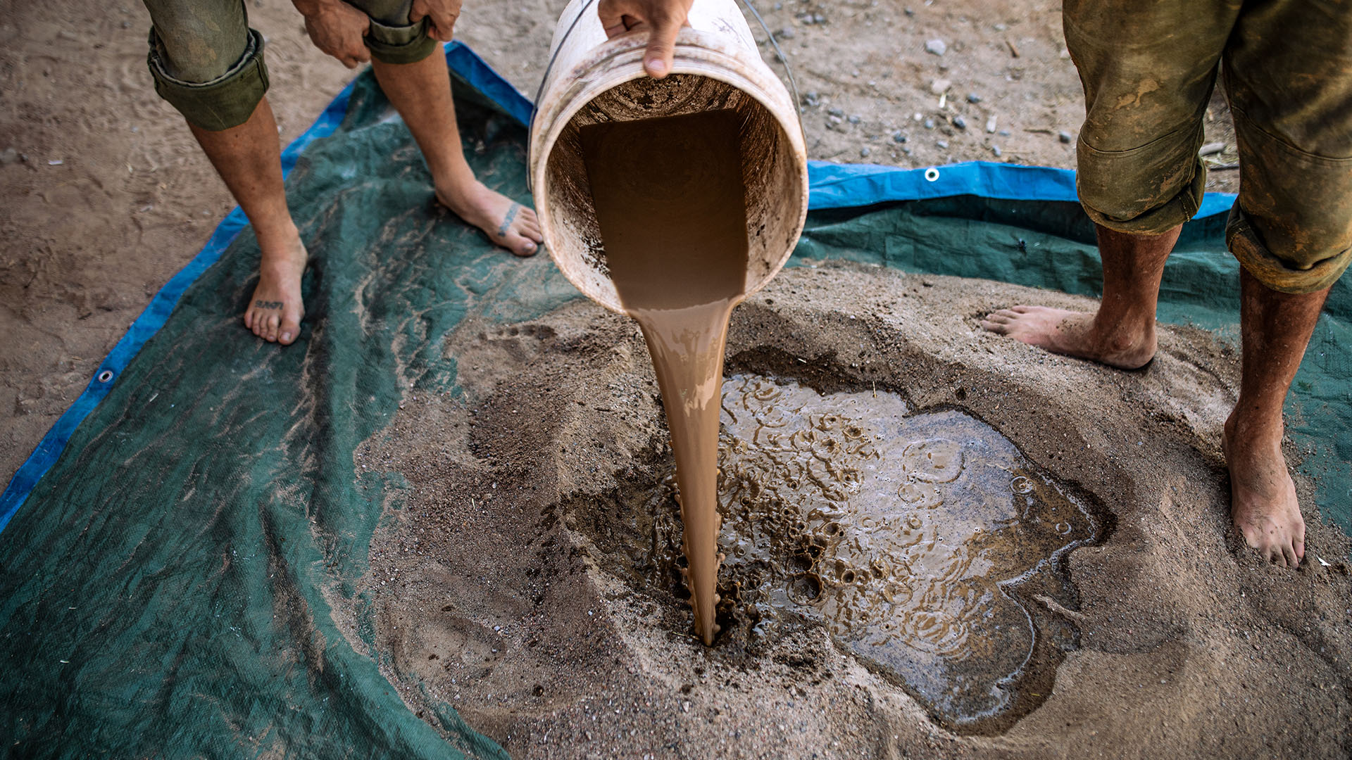 Walrus Bucket Original