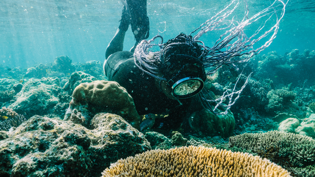 Sea Country/Malu Lag - Patagonia